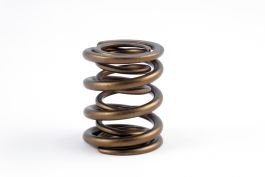 Ford BDG Valve Spring | Ridgeway Racing Engines